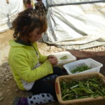 Reaching Across Borders: Mental Health and Psychosocial Support for ...